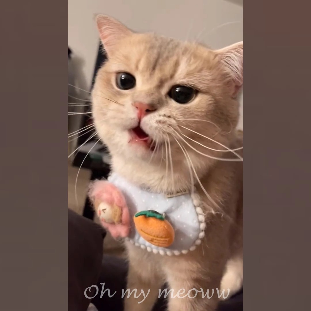 Feed Me Mommy Im Hungry Now Feed Me Mommy Im Hungry Now