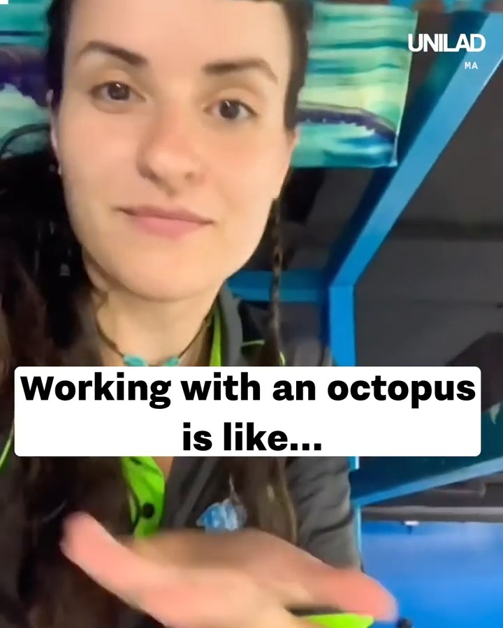 What Its Like Working With An Octopus Everyday This Woman Shows Her
