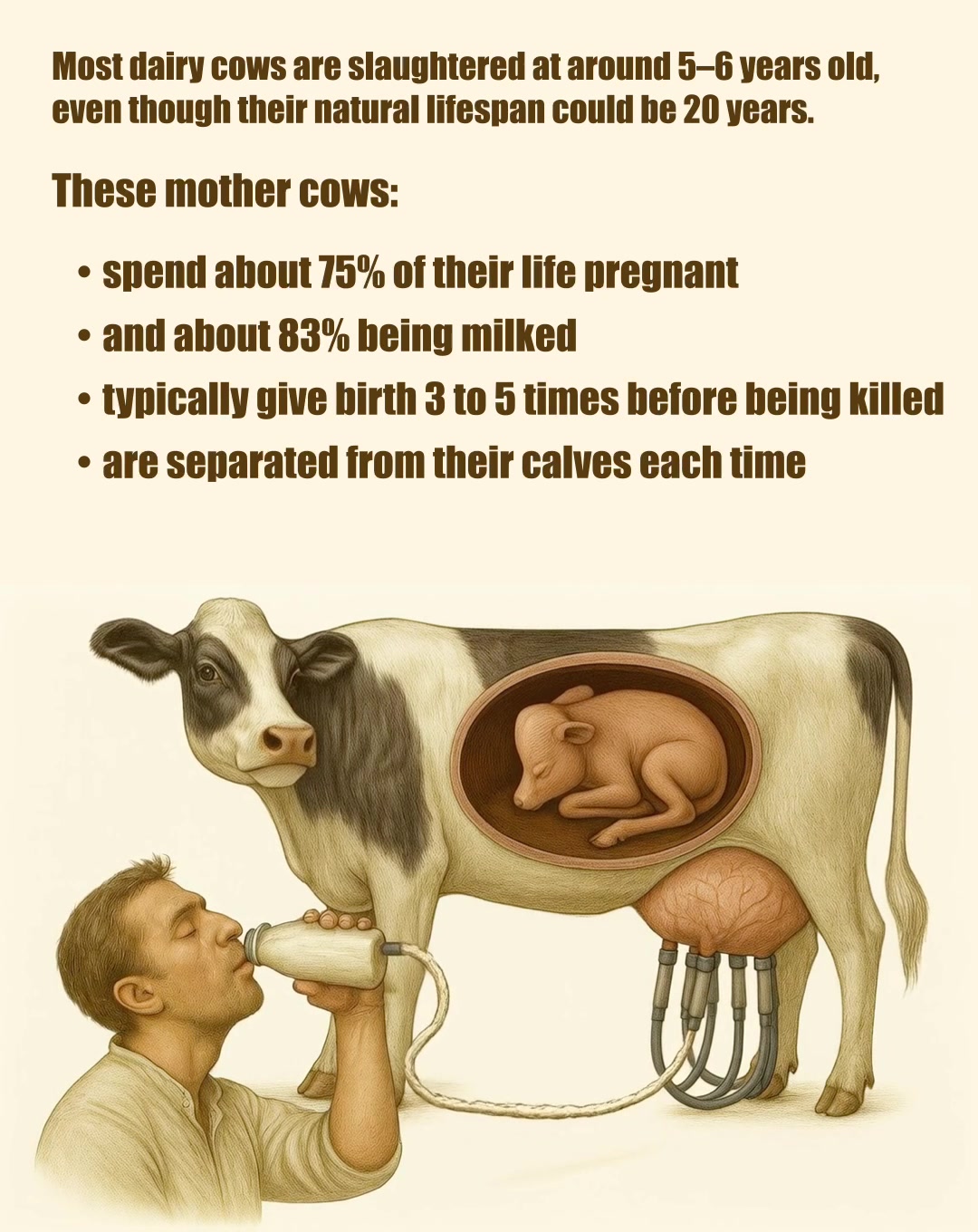 When did you learn cows make milk because they’re mothers… and they ...
