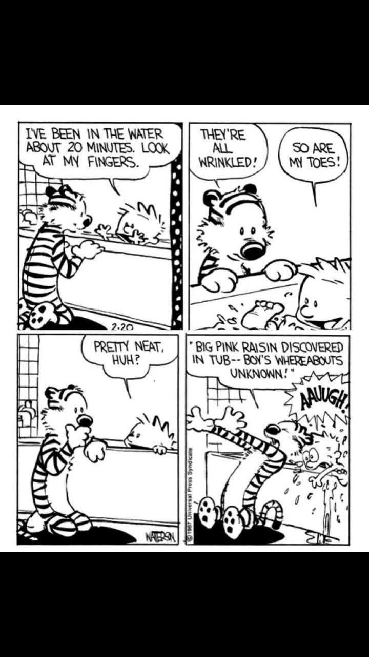 Everything Calvin & Hobbes 🤭🤣😂 . . . #dennisthemenace #comicstrips # ...