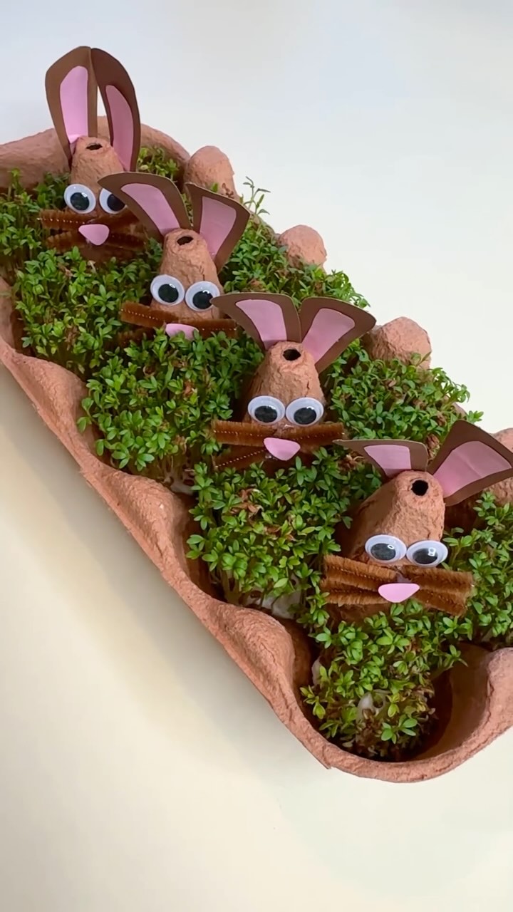 Grow your own bunny garden 🐇 🌸 🌱 This is such a fun Spring or Easter ...