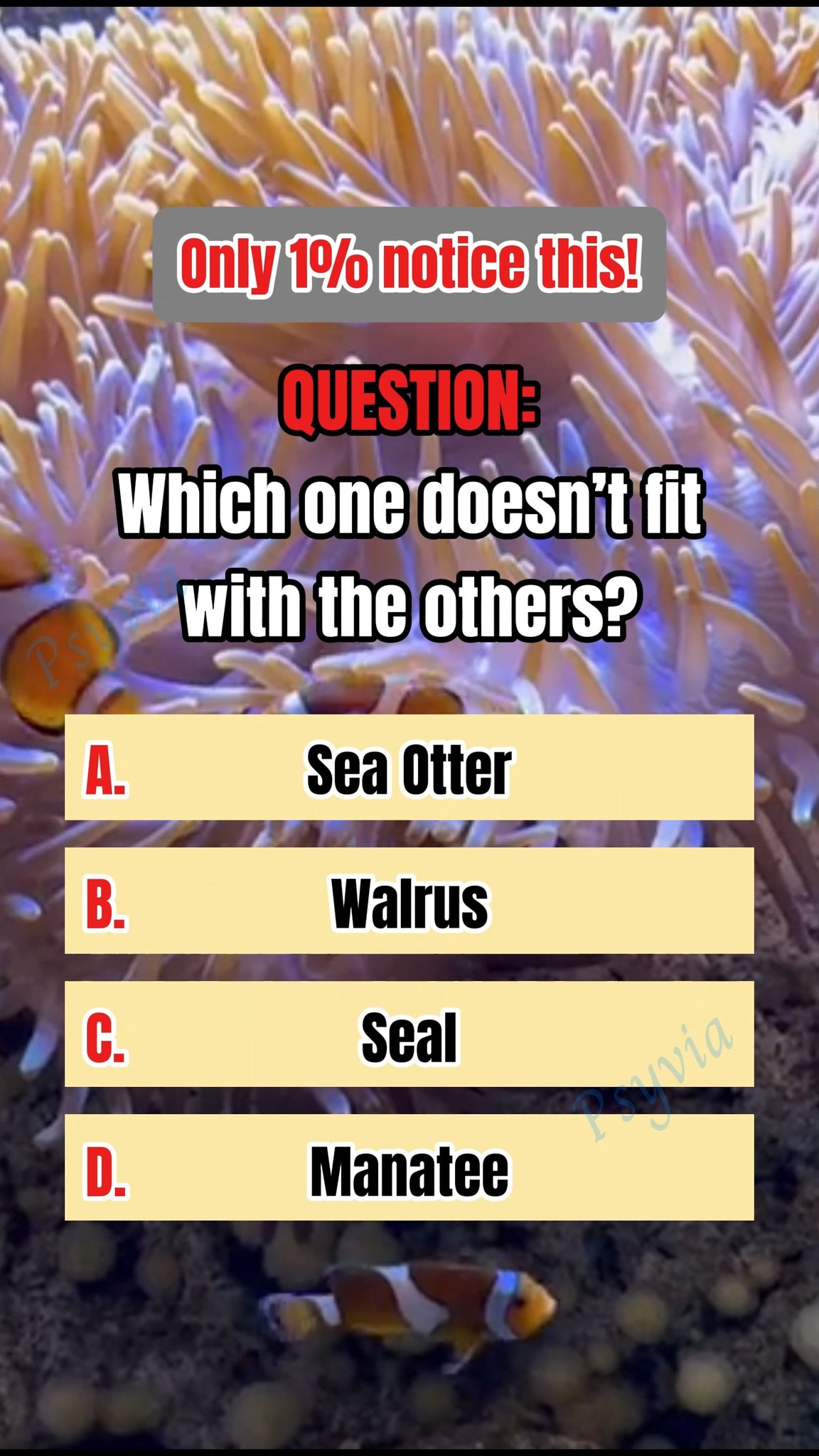🐬 Which one of these water animals doesn’t belong? 🕵️‍♂️ #QuizReels # ...