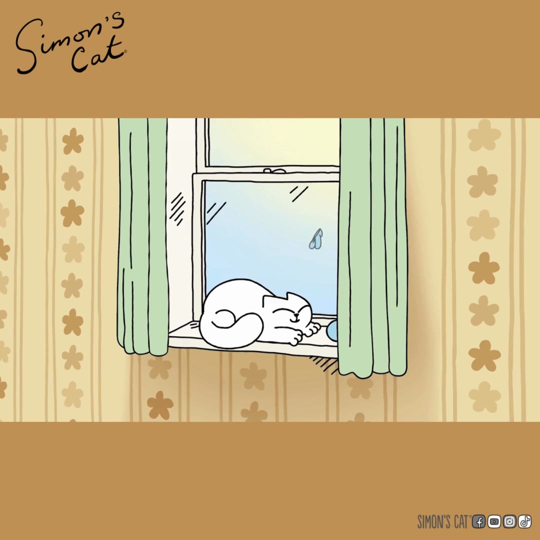 It feels like spring! 💖 | Simon's Cat | Facebook
