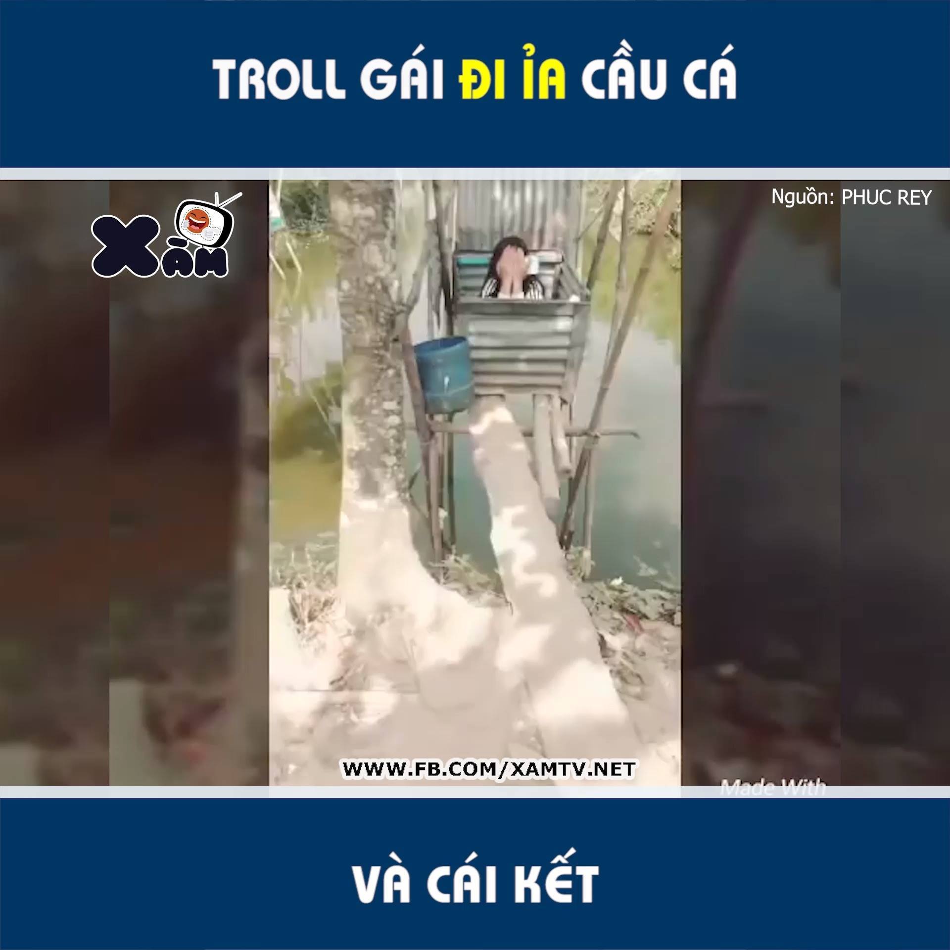 Troll Cô Gái Đi Ỉa Cầu Cá Em Gặn đi Em Con Bé ỉa Gì Mà Dể Thương