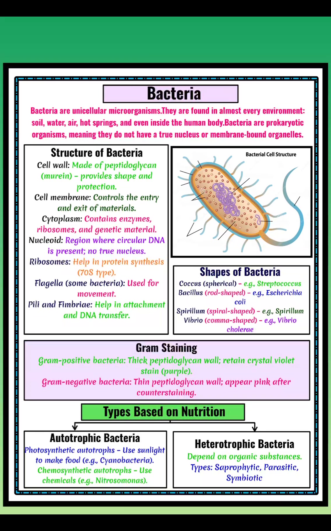 🦠 All About Bacteria! From structure to types, uses to diseases ...