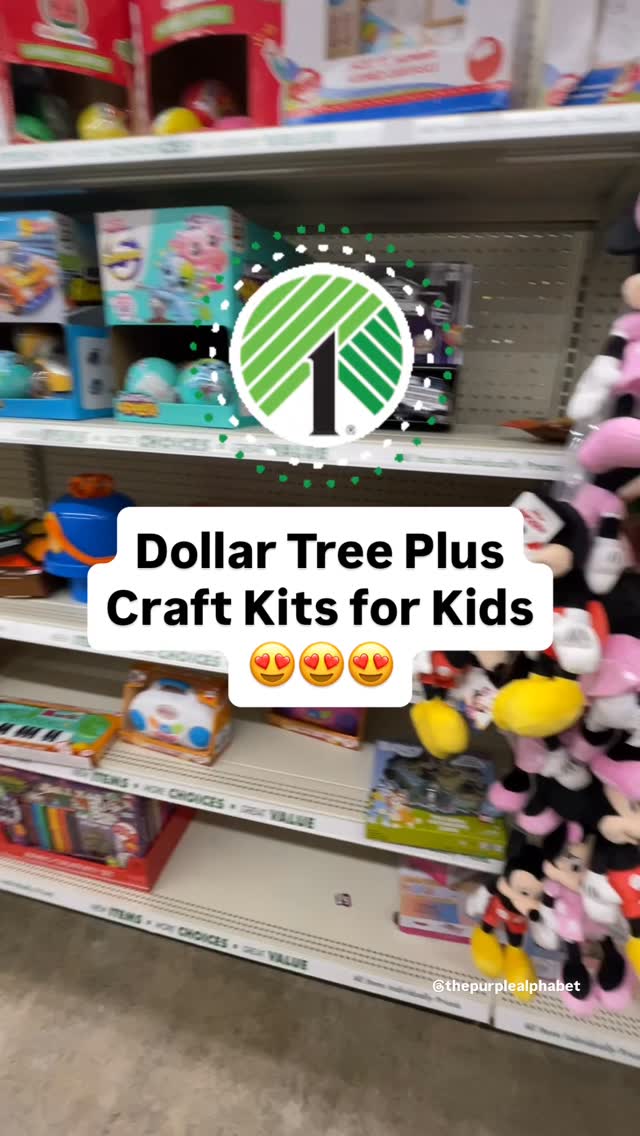 Found some nice craft kits in the Dollar Tree plus section. There are ...