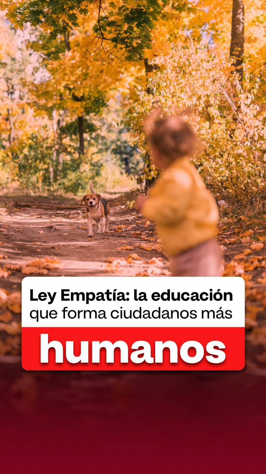 La Ley Empatía busca que niñas, niños y jóvenes en Colombia aprendan a ...