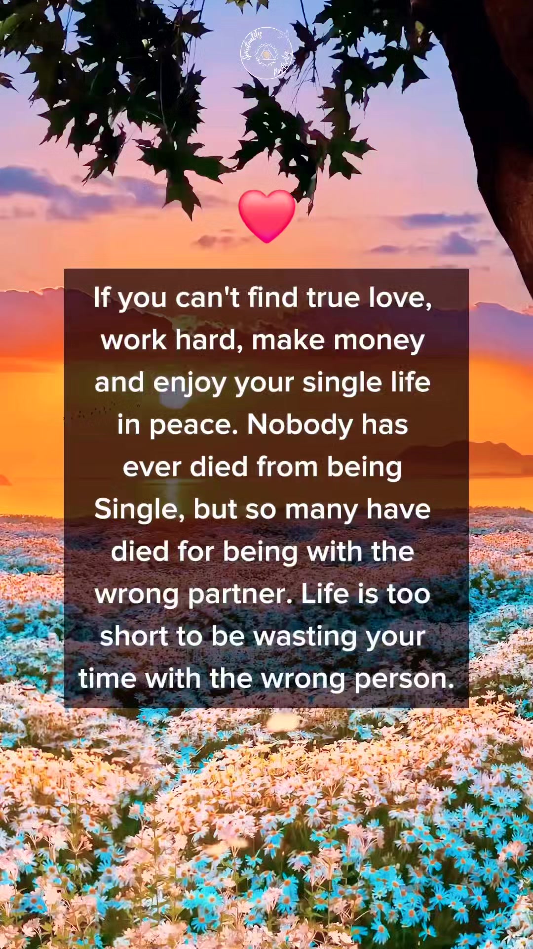 If you can't find true love, work hard and make money and single the ...