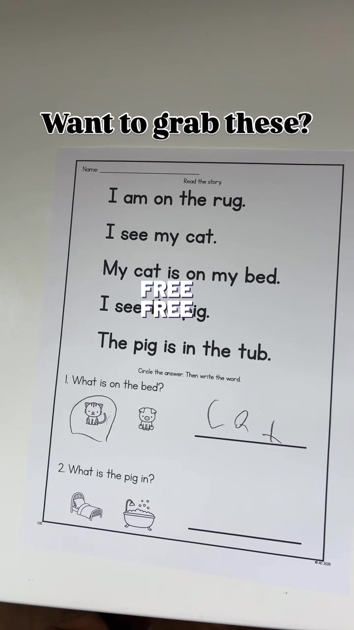 Literacy with Aylin Claahsen - I love hearing how you are using these ...