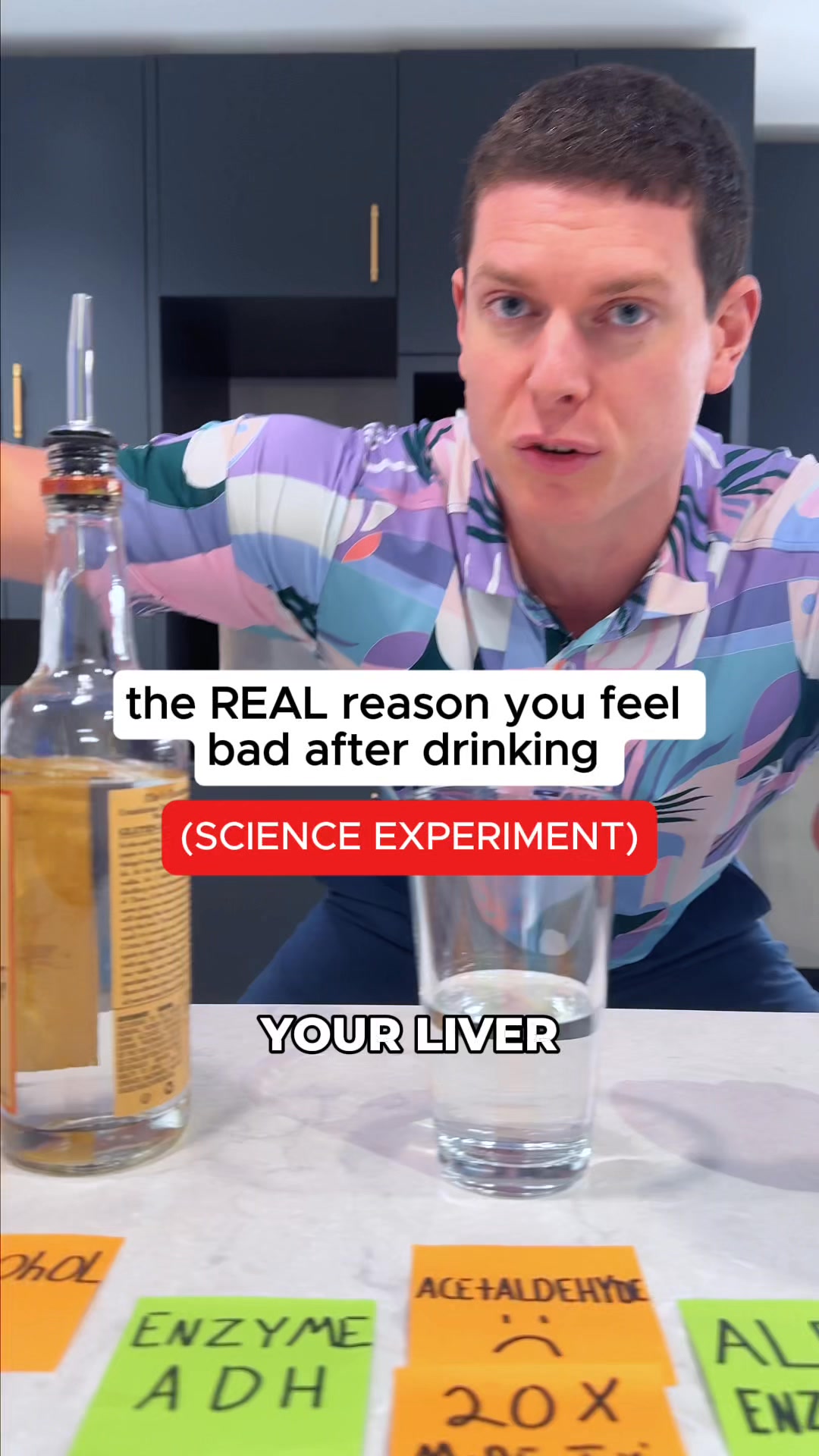The REAL reason why you feel bad the day after drinks. #alcoholscience ...