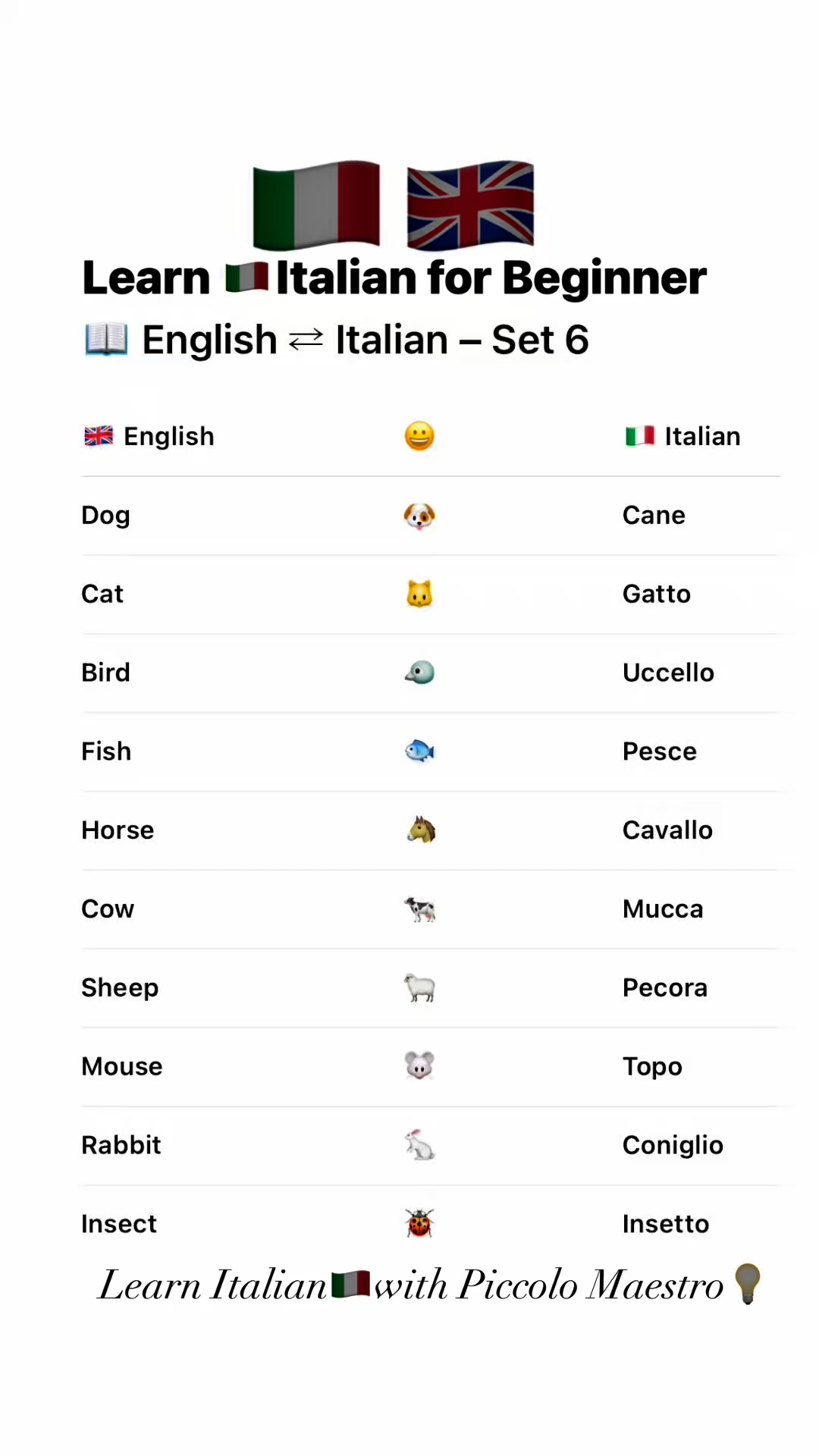 Italian🇮🇹 - English 🇺🇸 Translation #learnitalianwithme #learnenglish # ...