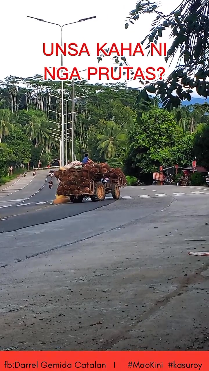 Unsa kaha ni nga prutas? #kasuroy #Philippines #outdooractivities # ...