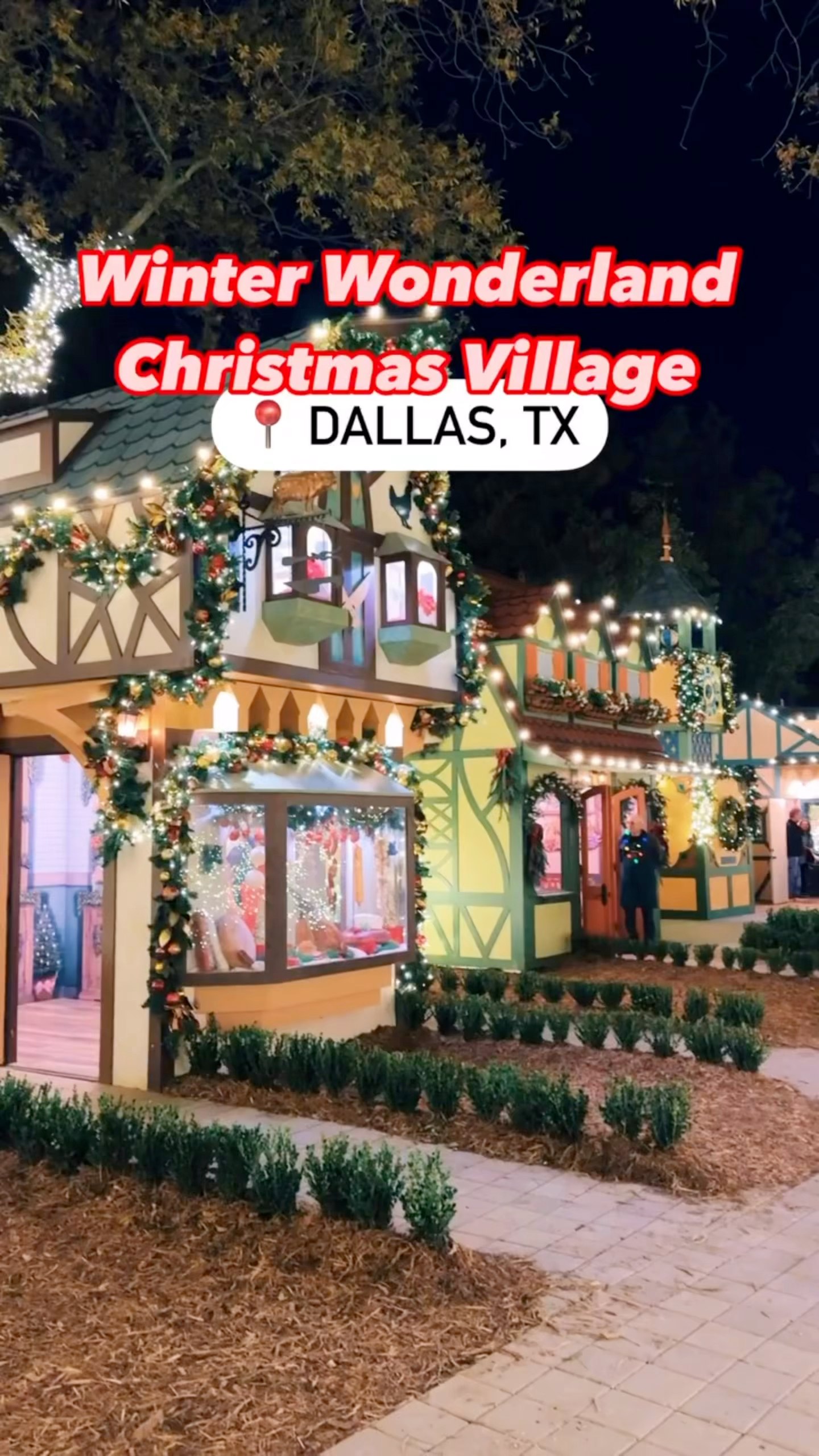 Dallas Fun Fam - 🌟 [OPENING NOVEMBER 12] Winter Wonderland... | Facebook