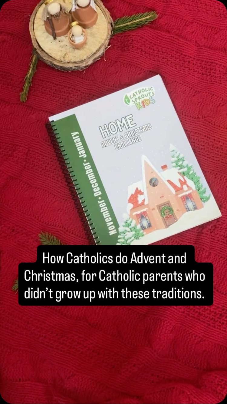 🌲we might not have grown up with these rich Catholic traditions for ...