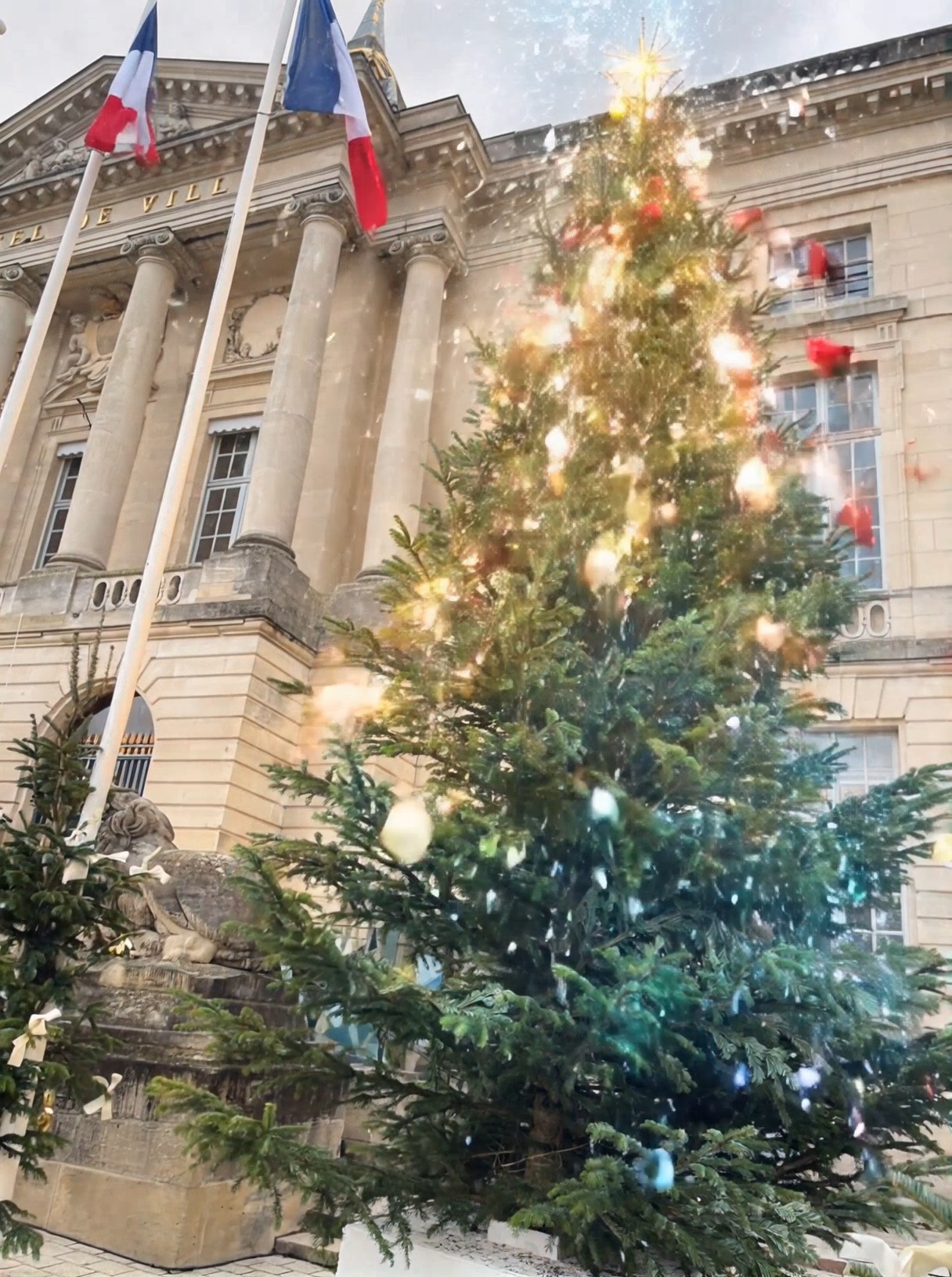 🎄 Esprit de Noël à Châlons ! 🎄 Et voilà les amis… un magnifique sapin ...
