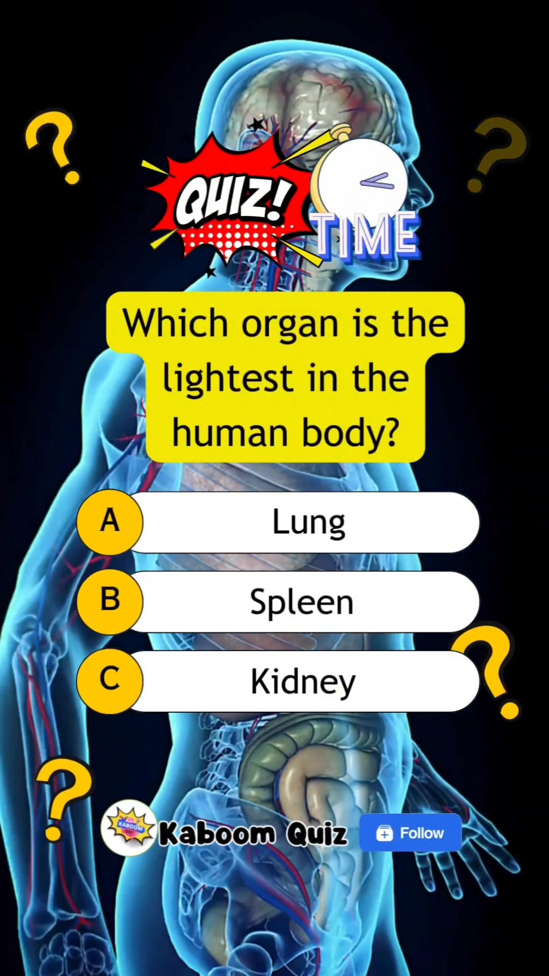 What organ in the human body is that? #quiz #quiztime #quizreels # ...
