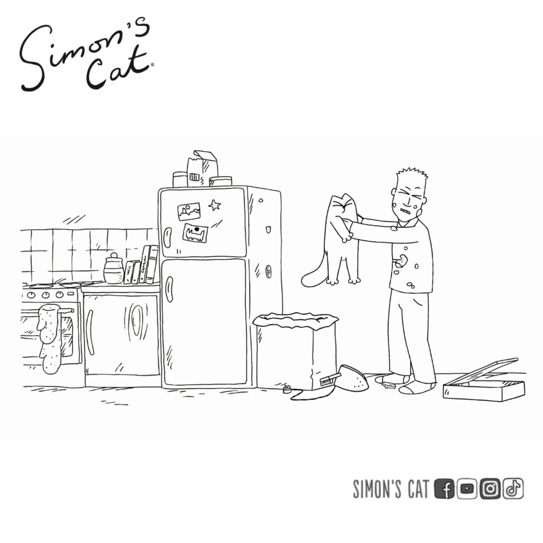 One man's trash is another cat's treasure! 😸 | Simon's Cat | Facebook