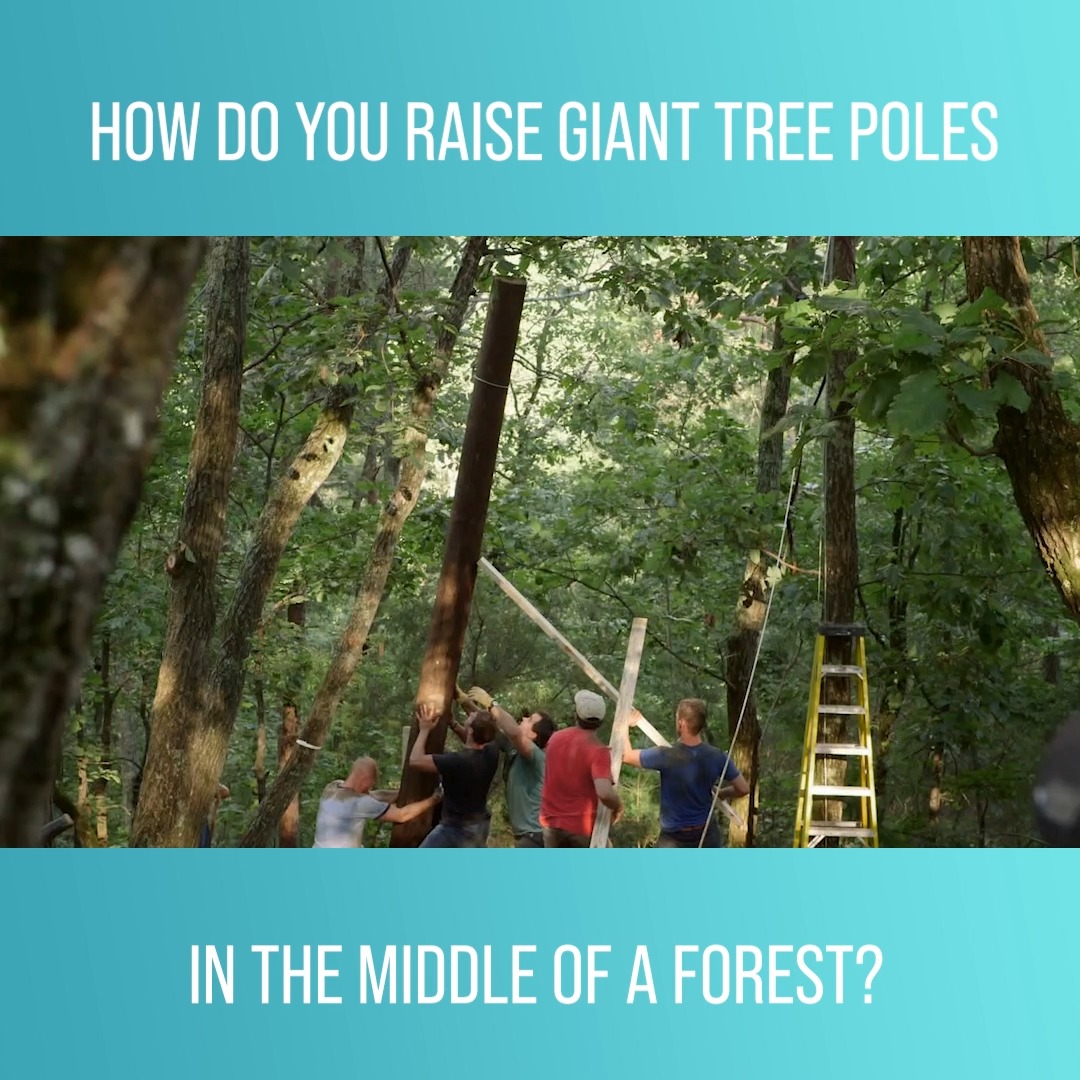 A team is braving the wilderness to construct a towering treehouse in a ...