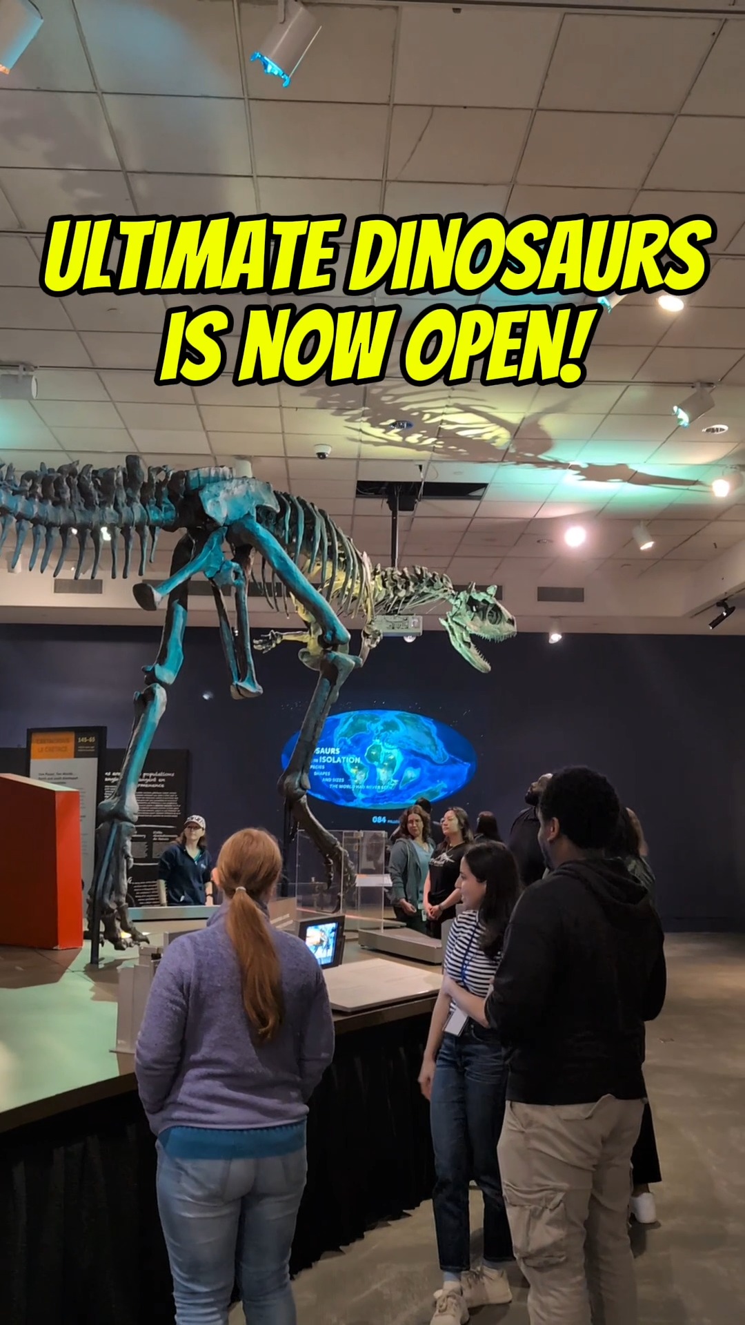 Ultimate Dinosaurs is now open! 🦖😍 Come check out the 14 full-scale ...