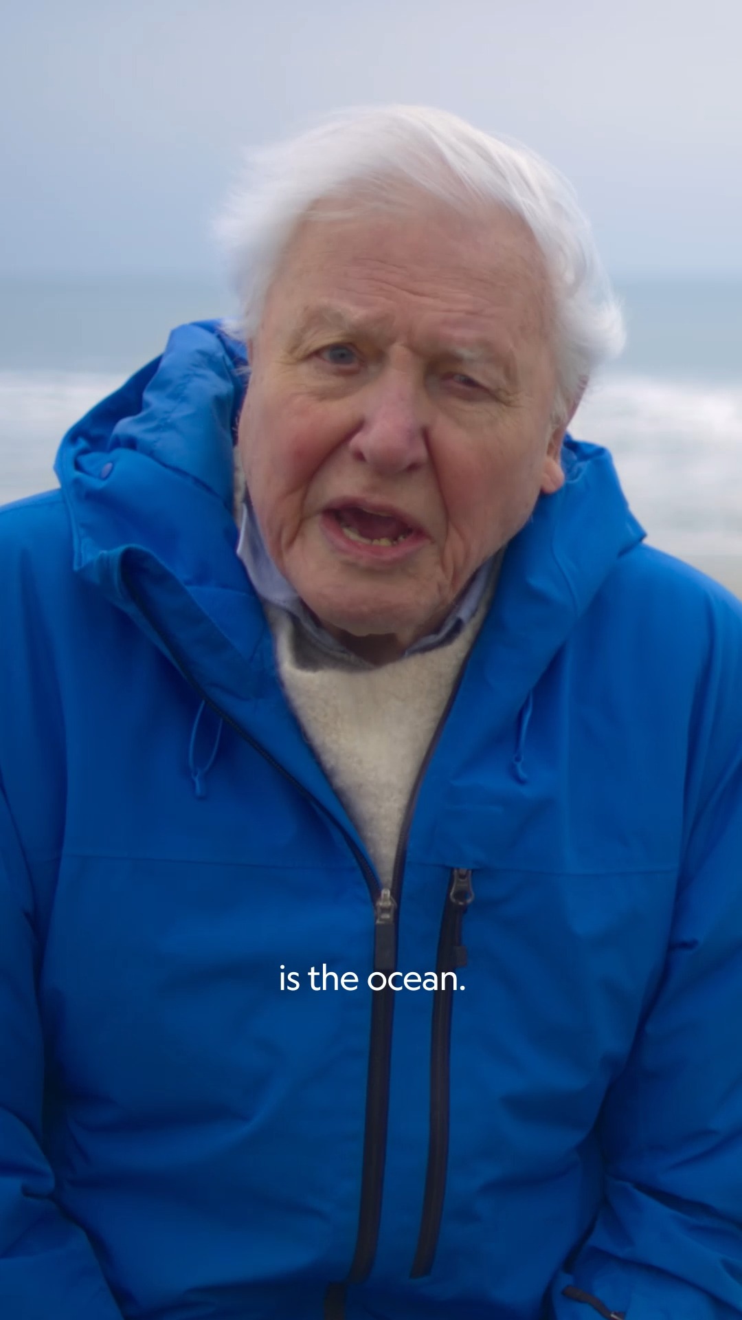 One of our most memorable moments from 2025 was the release of Ocean ...