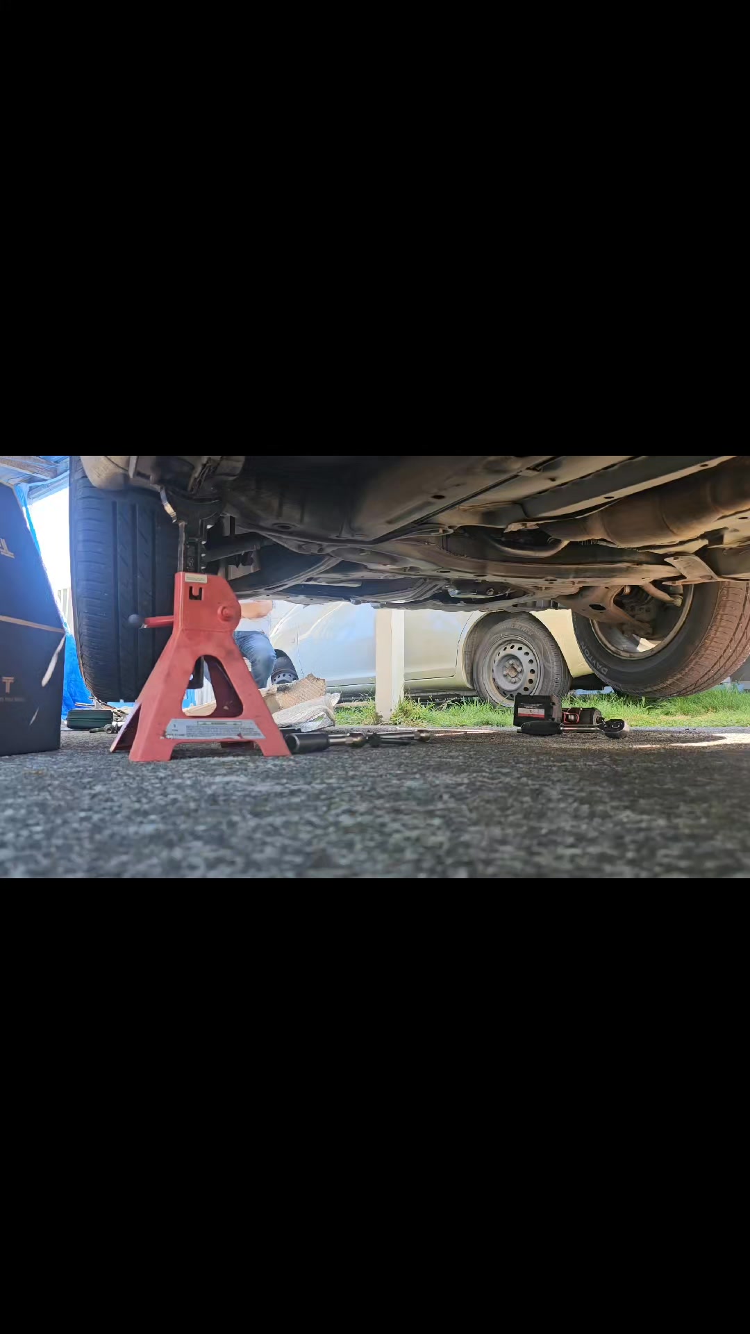 Auto Surgeons Tauranga