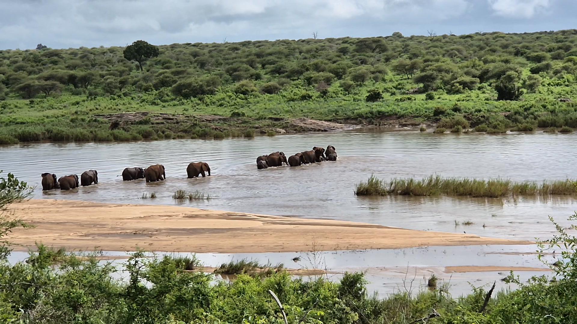 For more than a century, elephants across Africa were targeted by ...