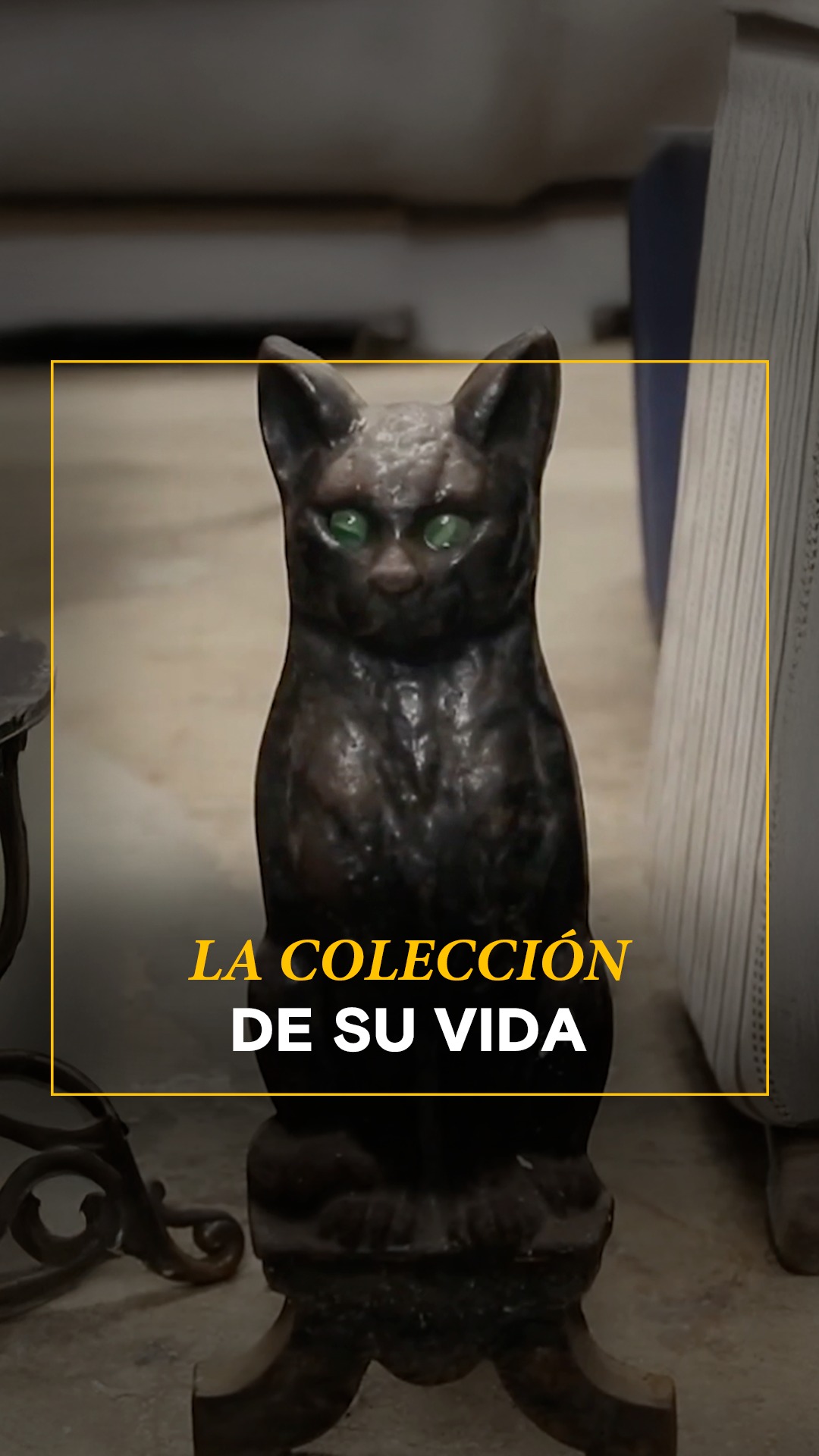 🔥🐈‍⬛ Esta colección de toda una vida realmente conquista a Mike ...