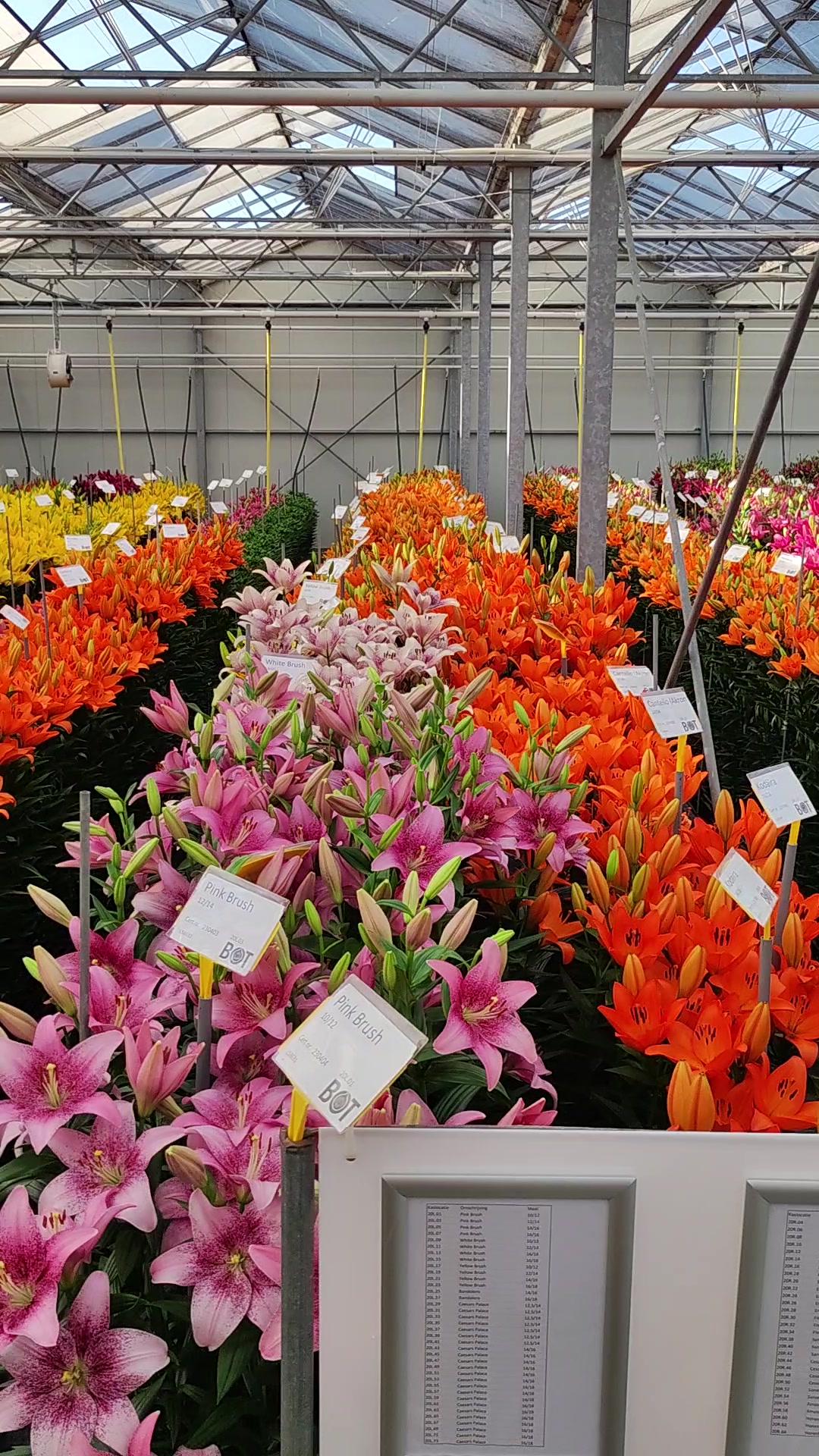 Bot Flowerbulbs Home