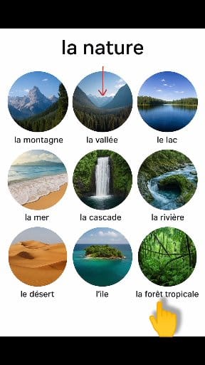 Vocabulaire français /la nature #reel #reelsvideoシ #facebook #lifestyle ...