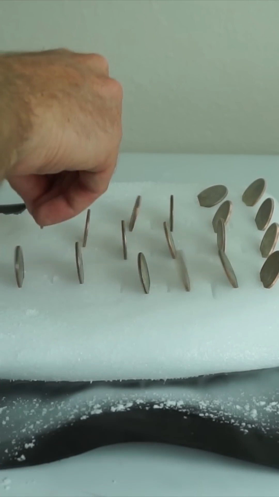 Coins flapping like butterflies 🪙 #science #physics #experiment #coins ...