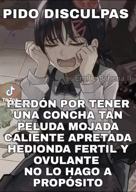 Pido Disculpas Perdon Por Tener Una Concha Tan Peluda Mojada Caliente