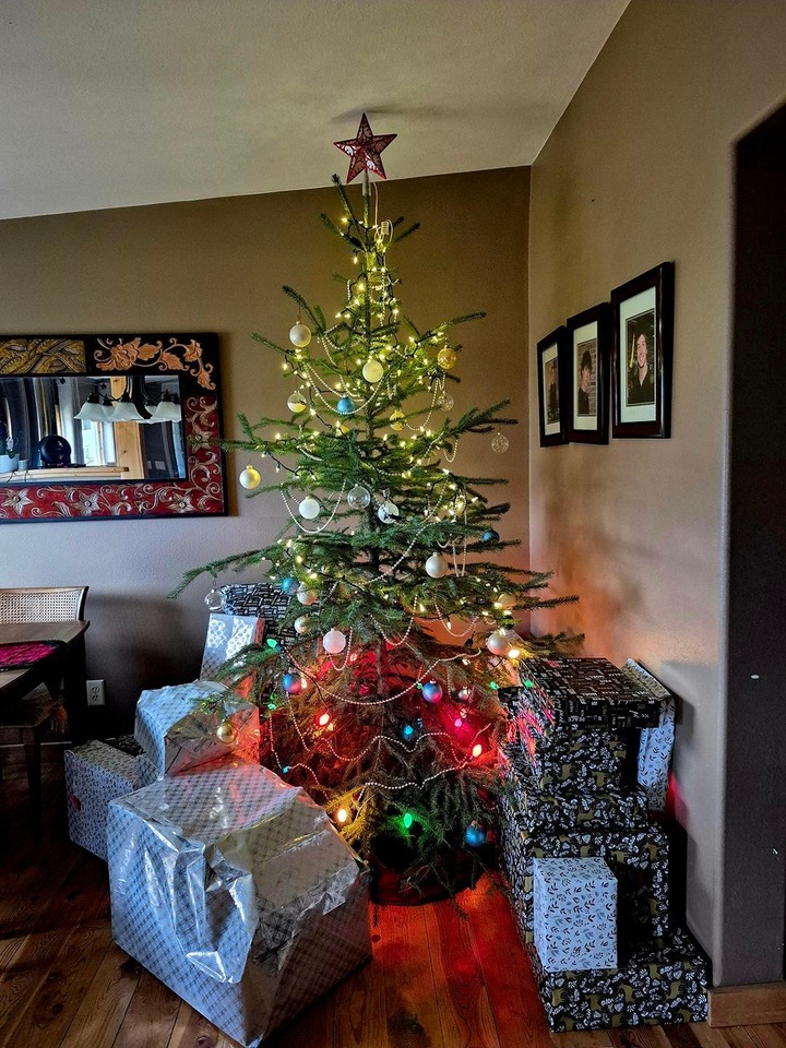Decking the halls—Christmas magic is alive at DeVon’s place. Drop a 🎁 ...