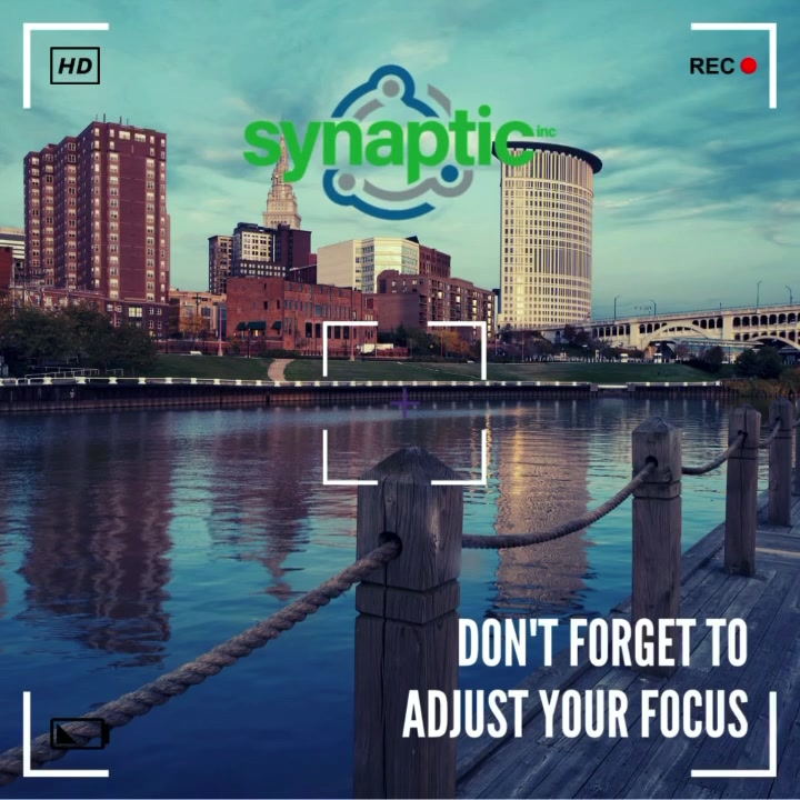 Synaptic Inc Home