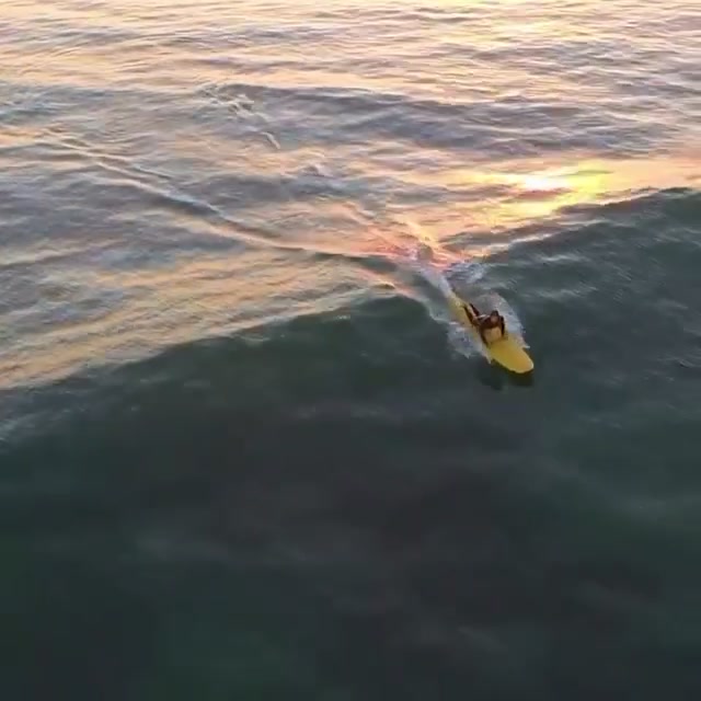 Surf Sex Sea Home Facebook