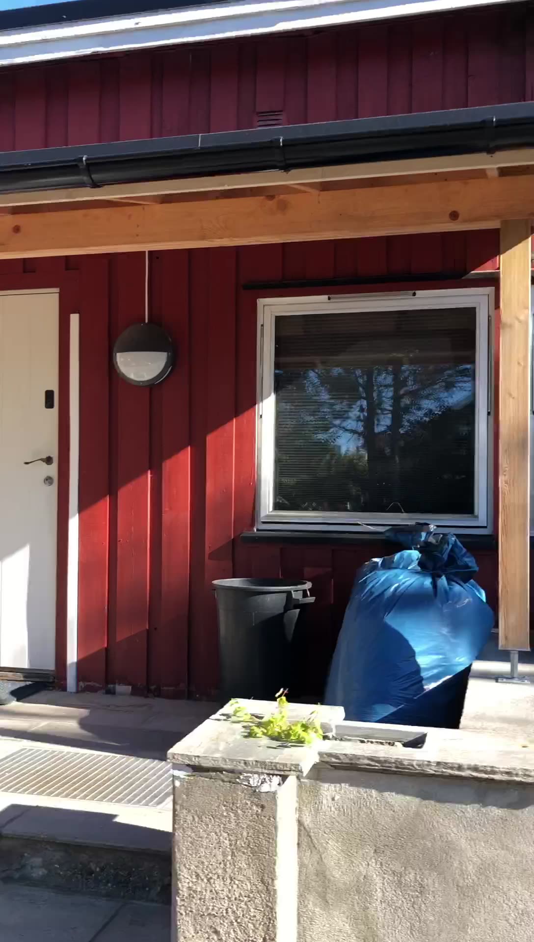 Raa Brewing Company Home Facebook