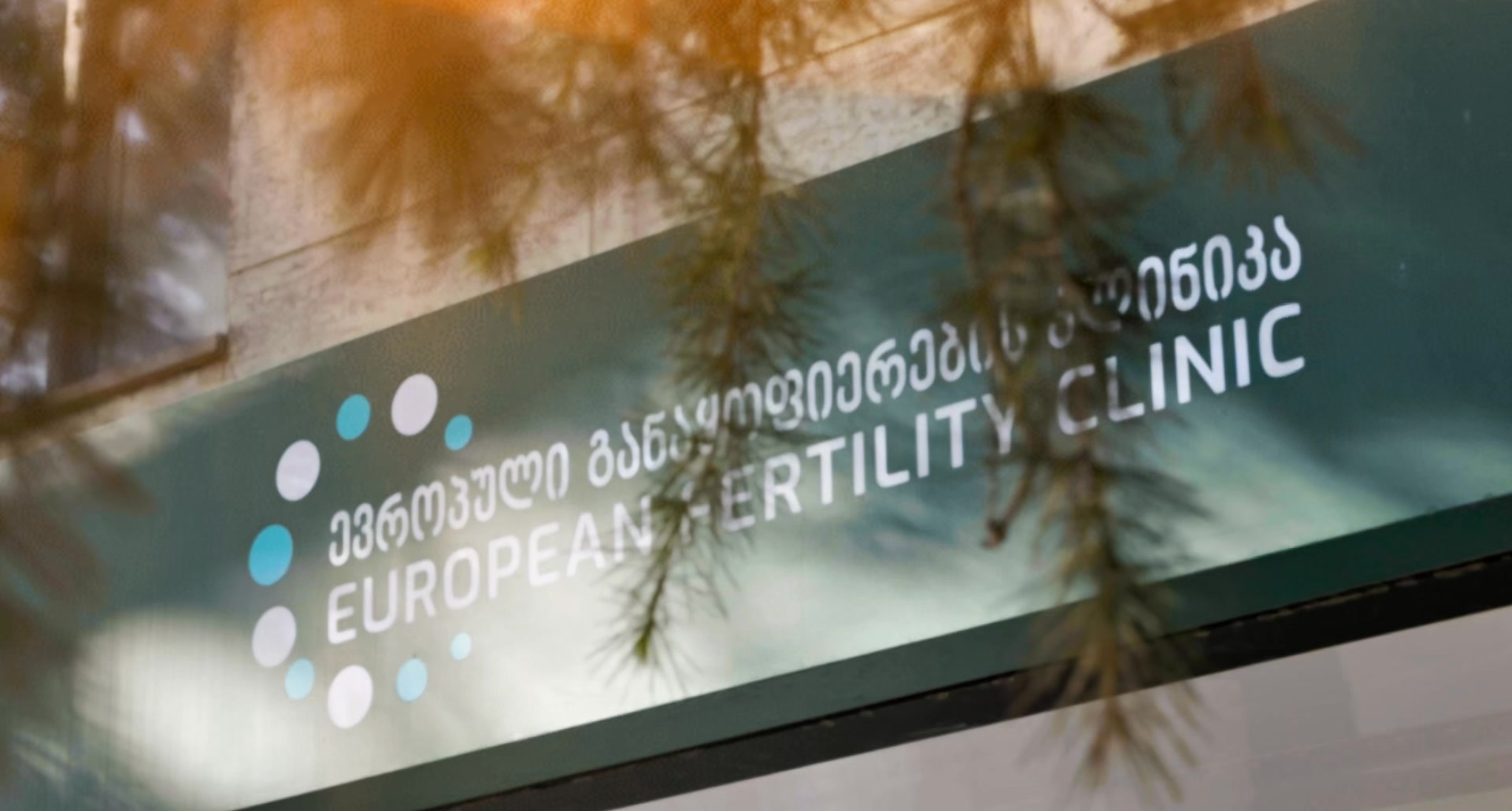 European Fertility Clinic Tbilisi