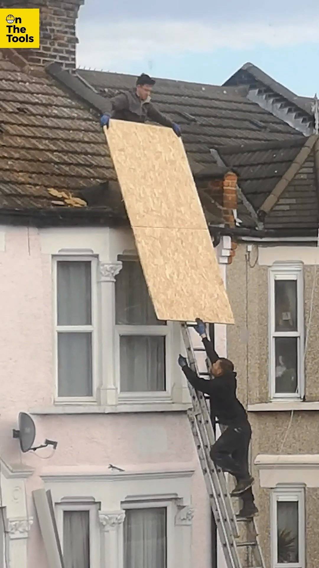 Why Women Live Longer Than Men 😬 Why Women Live Longer Than Men 😬