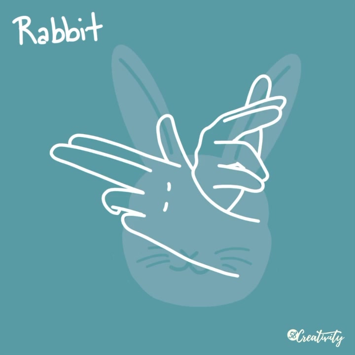 Rabbit/Bunny (This sign is one of three signs for Rabbits in ASL) Happy ...