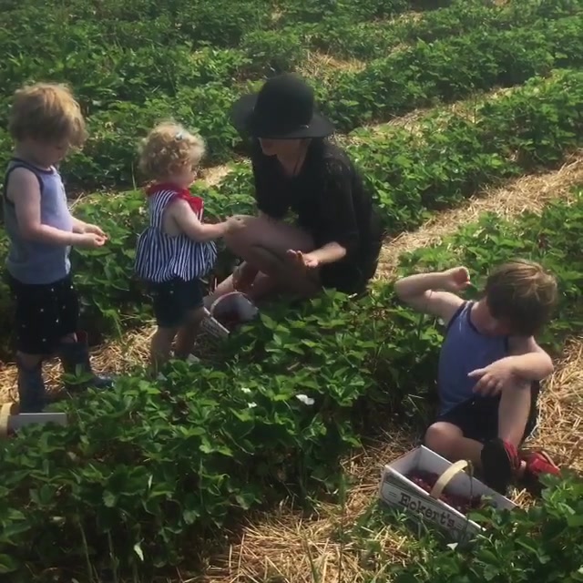 🍓strawberry picking, saying thank you, pre-eating strawberries for me ...