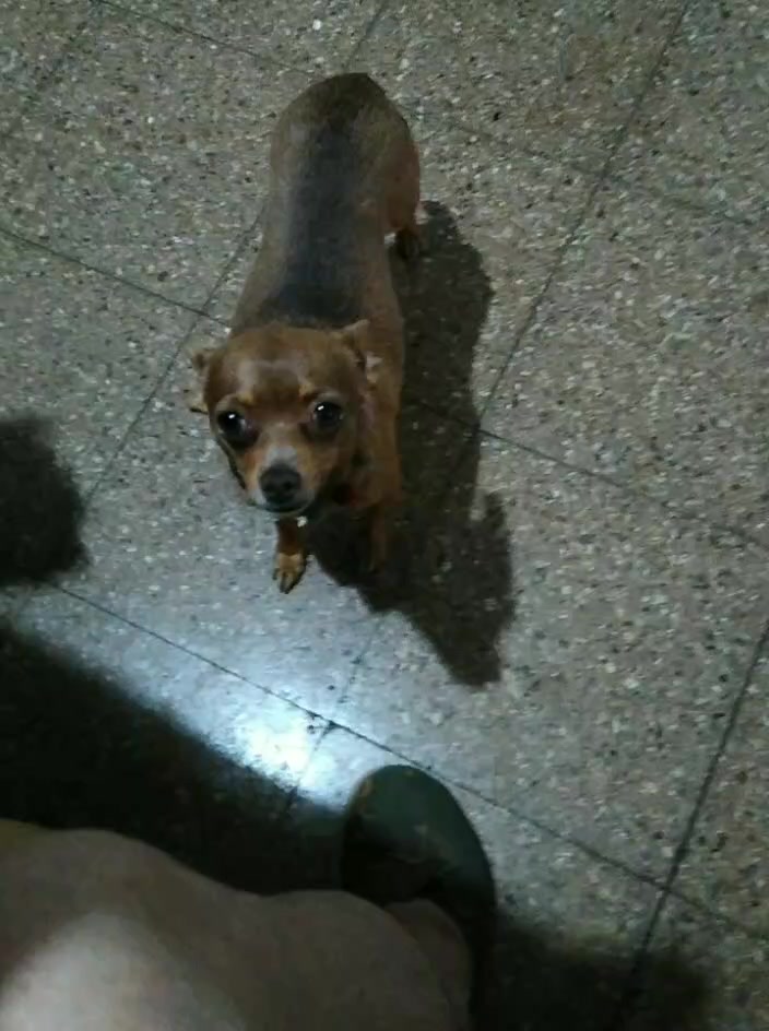 Bella Tan Chiquita Pasando Fin De Año Con La Tía By Neros