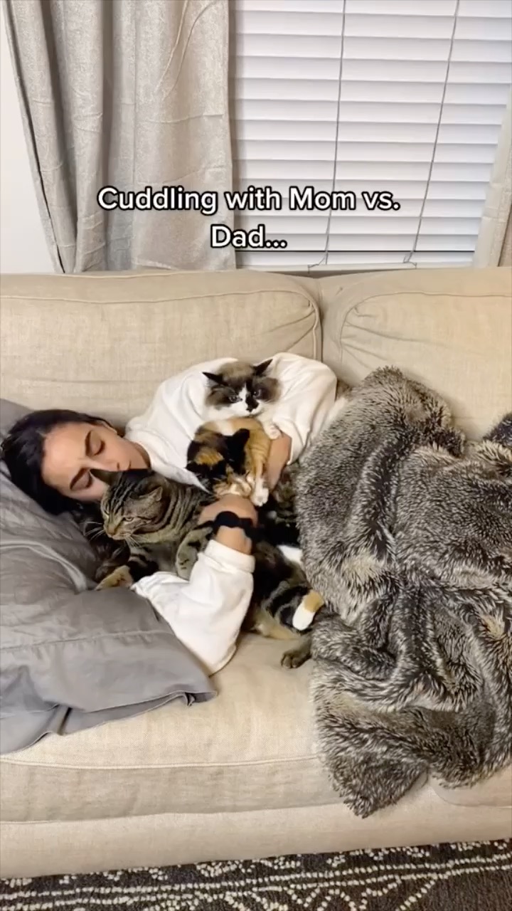 Dontstopmeowing Jealous Mom Compilation Part 1