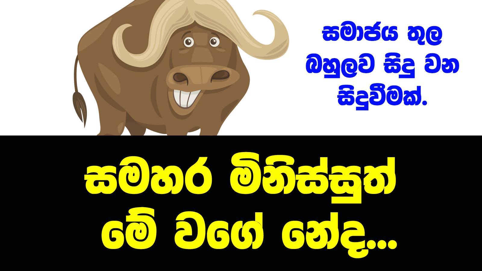 Sri Lankan School Girl Leak Video අලුතෙන්ම ලීක් වුනු ස්කූල් කෙල්ලගෙ වීඩියෝව Sri Lankan