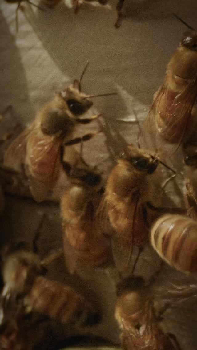 Matilda’s middle name was Bee (Bea). Her parents have asked for the ...