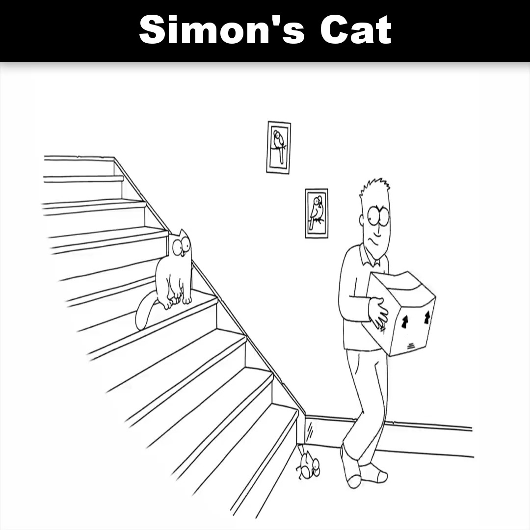 Staircase | Simon's Cat #cat #catlife #catlover #simonscat #FunnyCats # ...