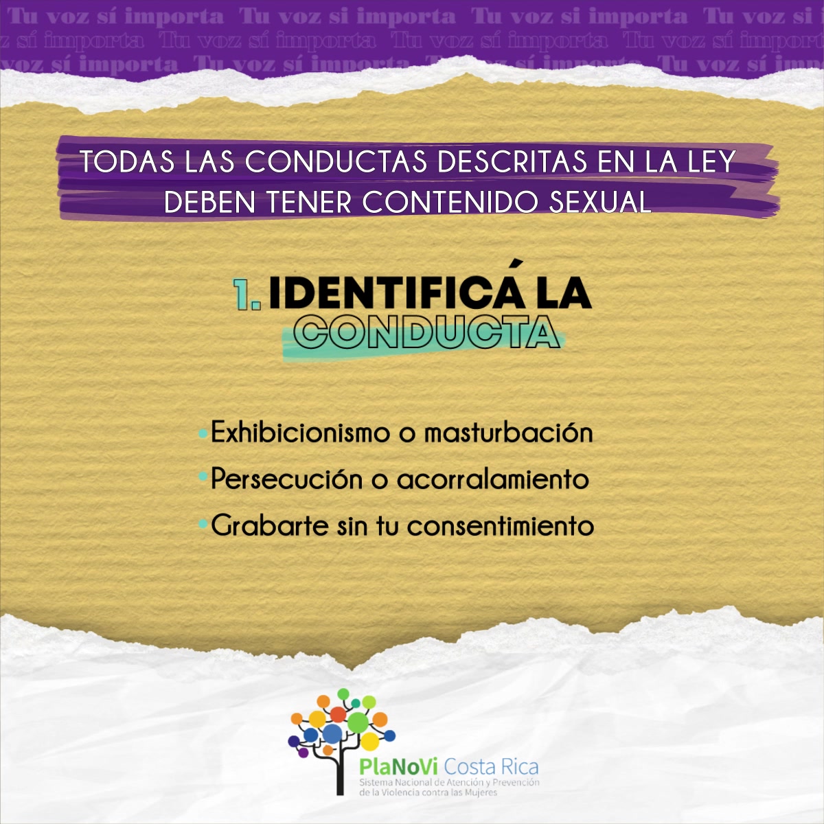 Conocé Los Pasos Para Denunciar El Acoso Sexual Callejero Cuando Es Un 3393