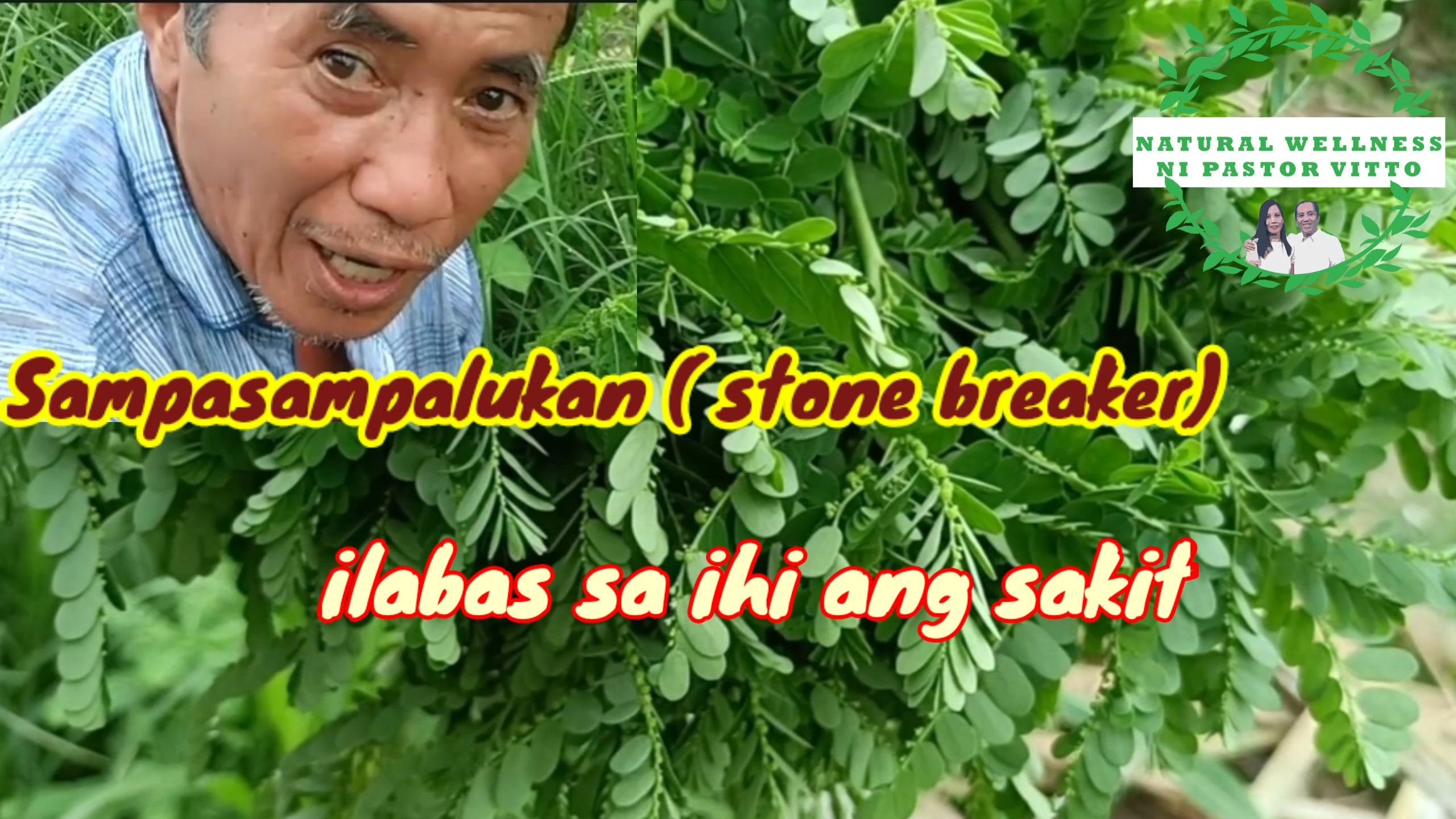 Ilabas Sa Ihi Ang Sakit Mag Sampasampalukan Sampasampalukan