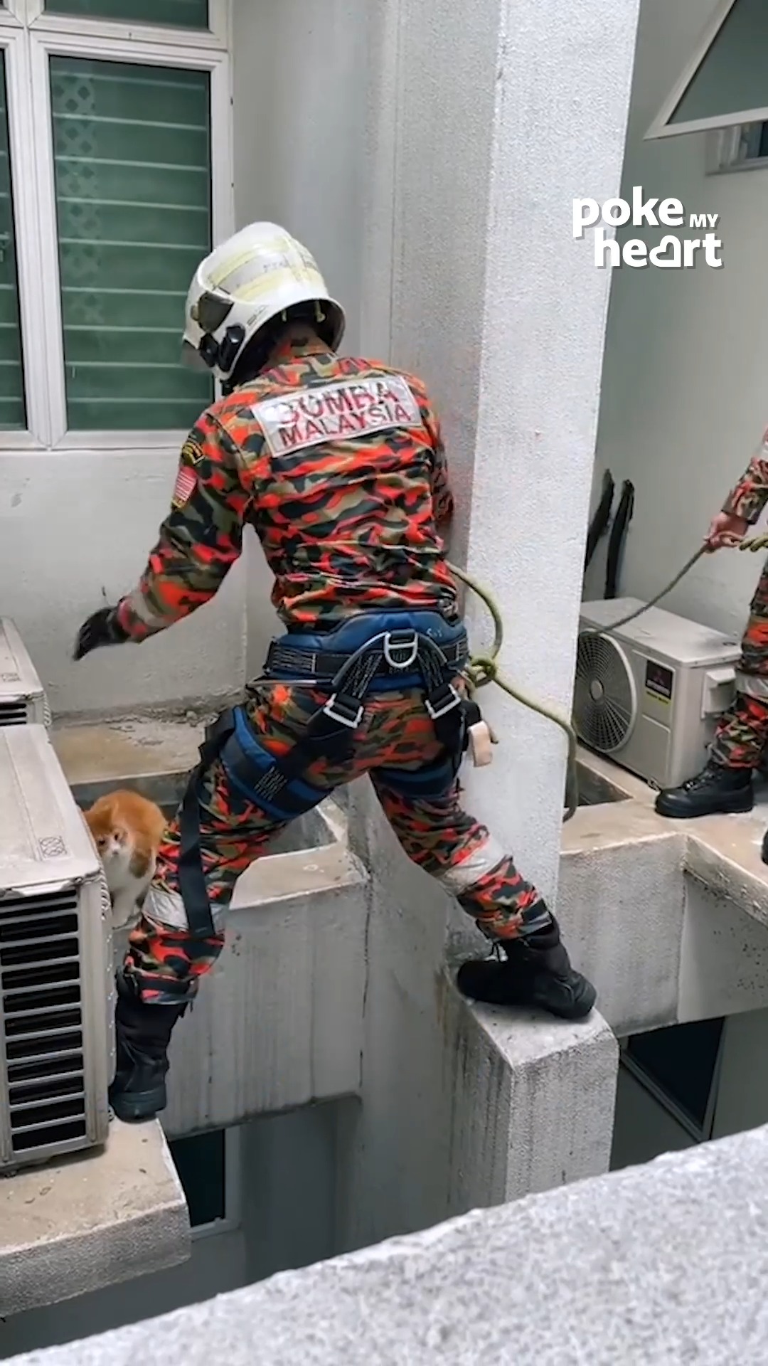 Firefighters Rescue Cat Stuck At Dangerous Spot On High Rise House 9957