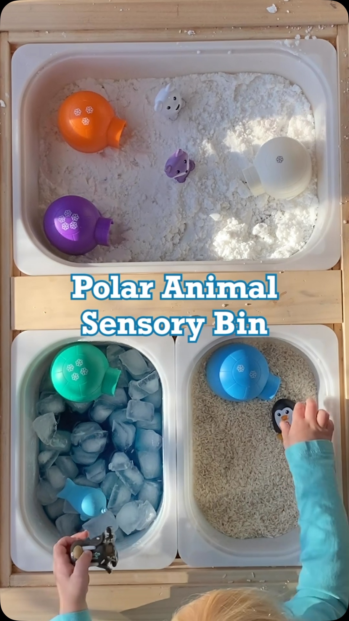 ️🐾 Polar Adventure Sensory Bin! 🐾 ️... - Learning Resources | Facebook