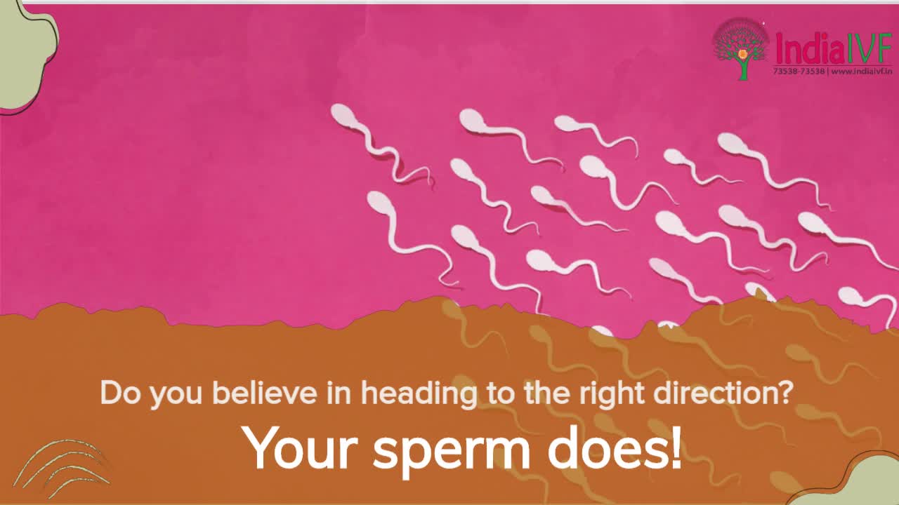 India Ivf Clinic Noida Home