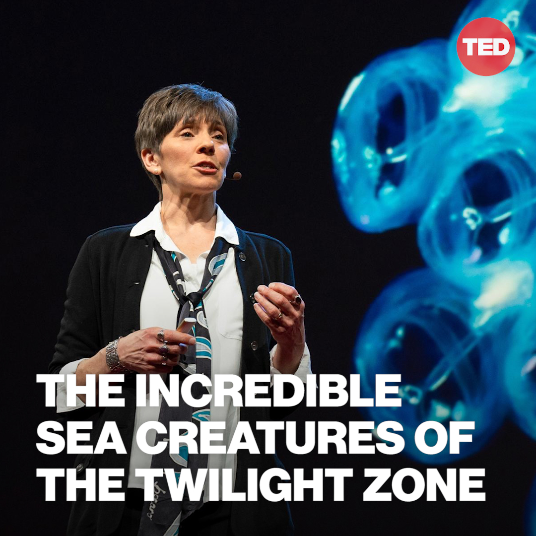 The ocean has a twilight zone — and it’s not as eerie as it sounds ...